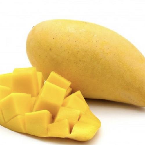 Jual Mangga Kuning Golden Nusantara 1 Kg - Jakarta Barat - PartnerBuah ...