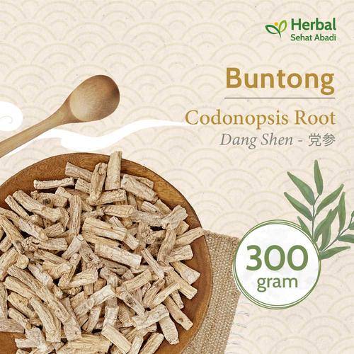 Jual Tong Sem 300 gram / Dang Shen (党参) / Tong Sim / Codonopsis Root ...