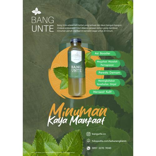 Jual 500ml - Bang Unte Asi Booster Daun Bangun-Bangun Torbangun ...