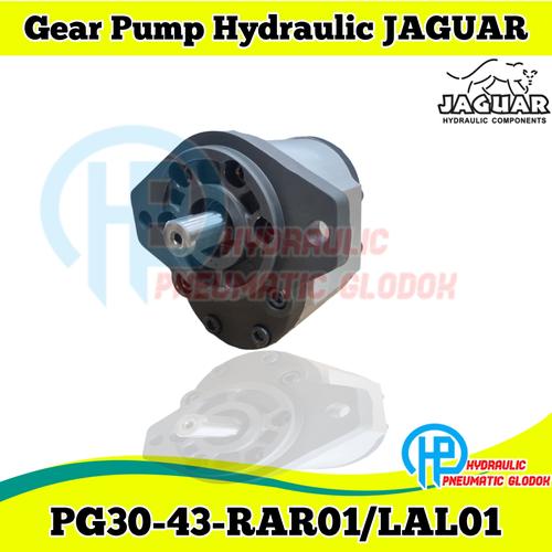 Jual Gear Pump Hydraulic JAGUAR PG30-43-RAR01/LAL01 - Putaran KANAN ...