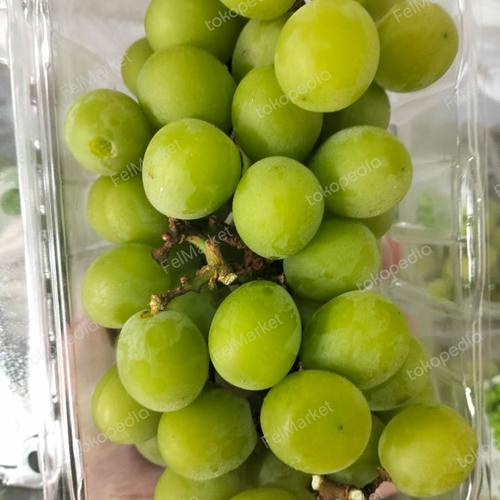 Jual Anggur shine muscat premium manis | pack - Jakarta Barat ...