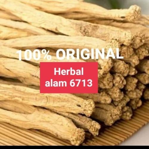 Jual 10 g Dang Shen / Tong SIM / Tongsem - Kota Tangerang Selatan ...