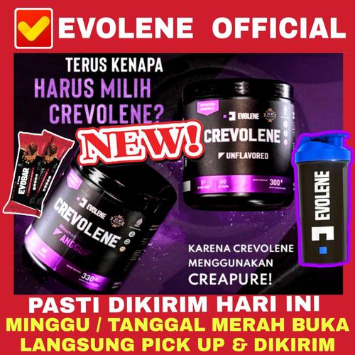 Jual Creatine Evolene Crevolene Monohydrate Kreatin 60 serving 330 gram ...