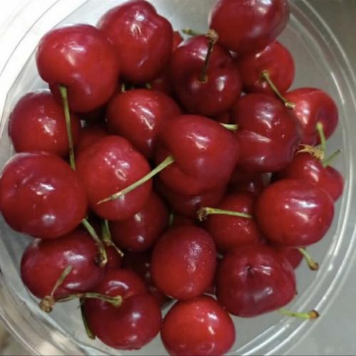 Jual Buah Ceri Merah Usa | Cherry Red Usa Manis Segar 500g - Jakarta ...
