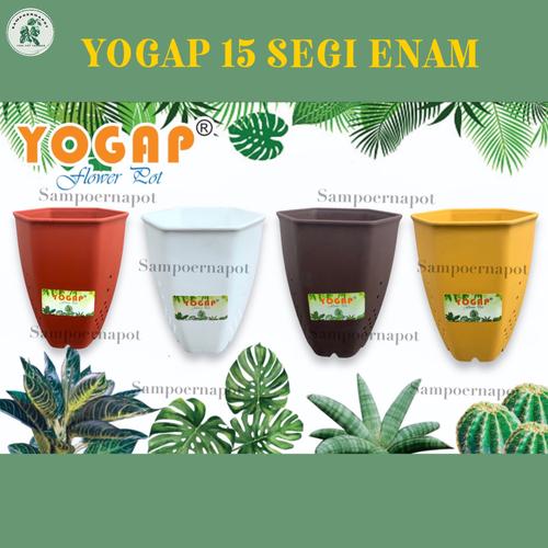 Jual POT BUNGA TANAMAN TINGGI YOGAP 15 SEGI 6 WARNA WARNI - YOGAP YP6 ...