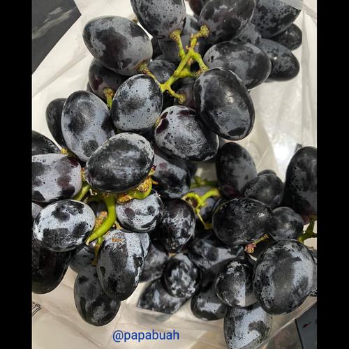 Jual Buah Anggur Black Australian Sweet Favours Premium Segar ...