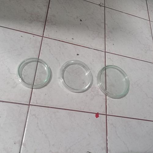 Jual petridisk 8 cm cawan petri - Jakarta Barat - Dunia Lab JKT | Tokopedia