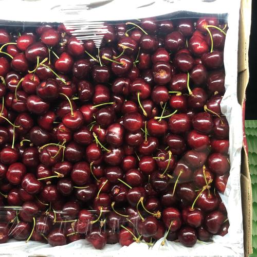 Jual Cherry Merah | buah ceri red Usa 5 kg Manis segar/ Box - Jakarta ...