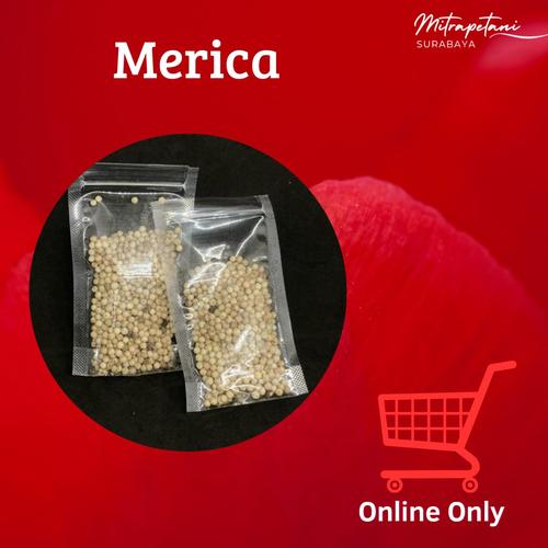 Jual Merica putih, lada putih, rempah merica putih, merica - Kota ...