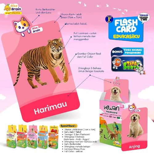 Jual Flash Card Rise Brain Smart Education Tema Hewan 3 Bahasa Anti Air ...