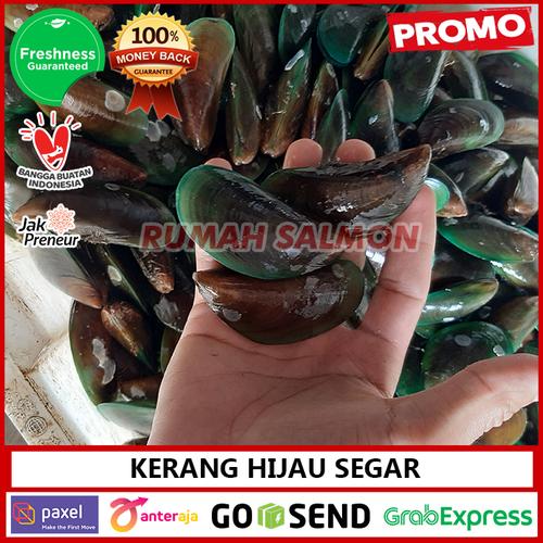 Jual Kerang Hijau Segar Fresh 500gr/Kerang Ijo Seafood - Jakarta Utara ...