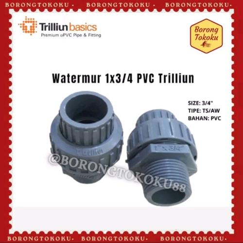 Jual Watermur PVC 3/4 inch TS Trilliun Watermor union sok pompa - Kab ...