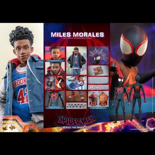 Jual Hot Toys MMS710 Spider-man: Across The Spiderverse Miles Morales ...