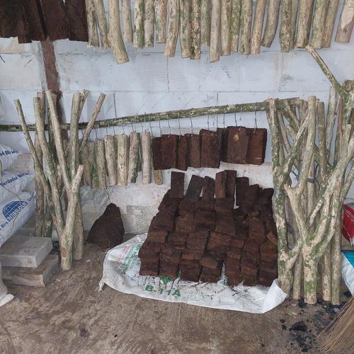 Jual Batang Kayu Kopi Media Tanam Anggrek 25-30 Cm Murah - 25 Cm - Kab ...