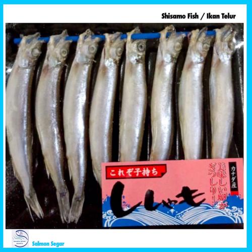 Jual Ikan Shisamo Telur Berkualitas Import - Jakarta Selatan - DAGING ...