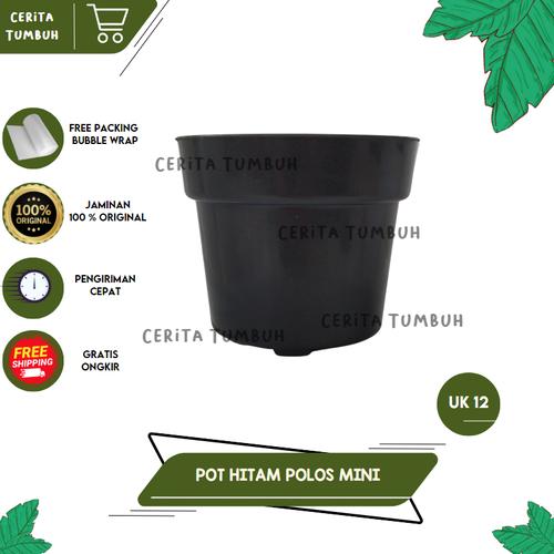 Jual Pot polos pot hitam polos pot hitam polos mini ukuran 12 - Kota ...