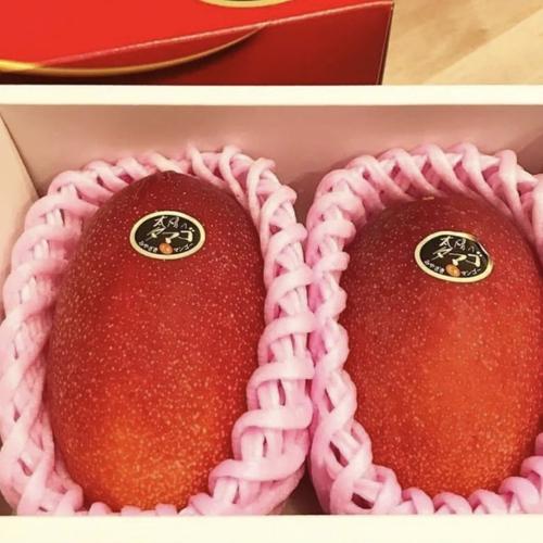 Jual Mangga Miyazaki Asli Original Super 2 Pcs / Pack - Jakarta Barat ...