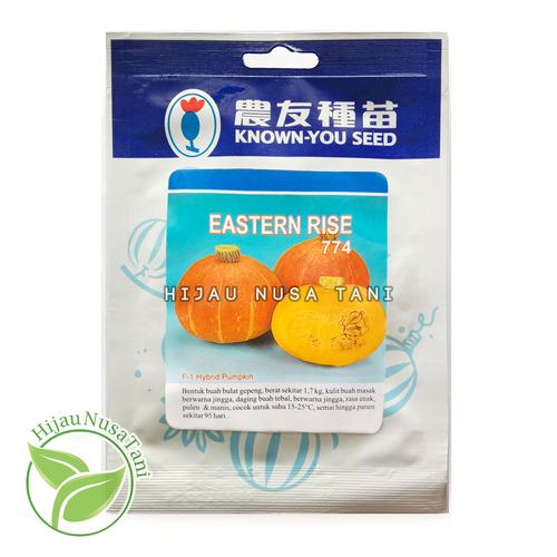 Jual Benih Labu Kabocha EASTERN RISE 10 gr - Known You Seed Kemasan ...