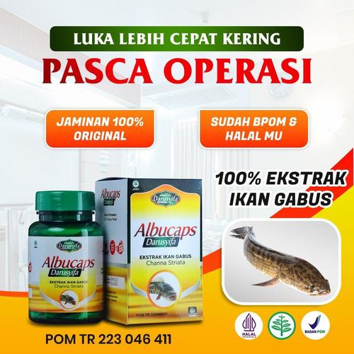 Jual Minyak Ikan Gabus Albu Oil 77 Isi 60 Kapsul | Ekstrak Ikan Kutuk - Kota Surabaya - Sumber ...