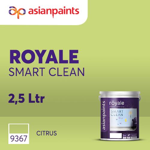 Jual ASIAN PAINTS CAT TEMBOK INTERIOR ROYALE SMART CLEAN (CITRUS) - Kab ...