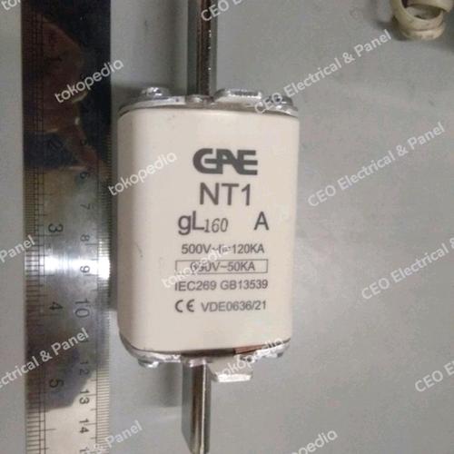 Jual NT1 Fuse GAE Size 1 50A,63A,80A,100A,125A.160A, 200A,224A,250A GAE ...