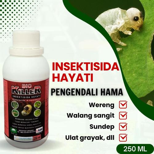 Jual Metarhizium Obat Insektisida Untuk Bawang Merah, Pestisida Organik ...