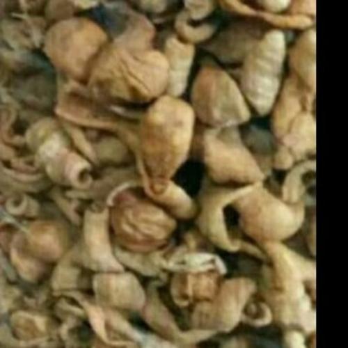 Jual KRIPIK TEMBOLOK AYAM 500G - Kota Surabaya - Hineni Roemah Kripik ...