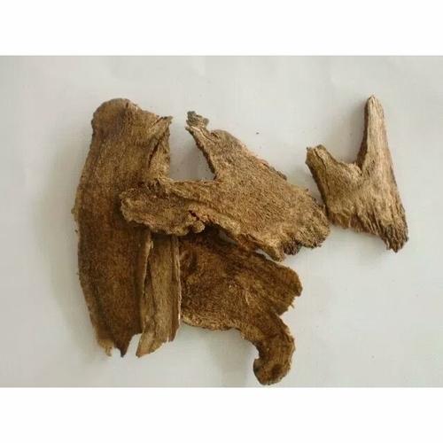 Jual 100 G GR GRAM MU XIANG AUCKLANDIA ROOT COSTUS ROOT - Jakarta Utara ...