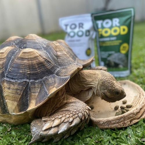 Jual TORFOOD / pelet / makanan tortoise high fiber low protein - Putih ...