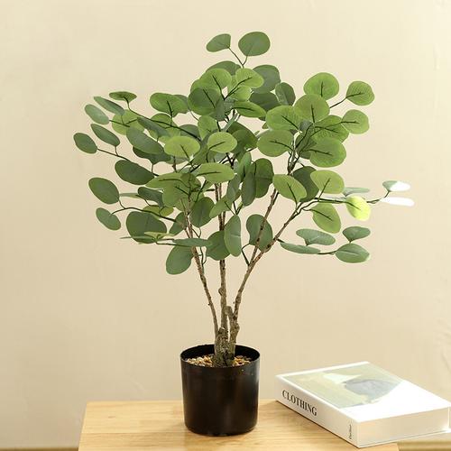 Jual Tanaman Artificial Pohon Palsu Eucalyptus Golden Aralia Brokoli ...