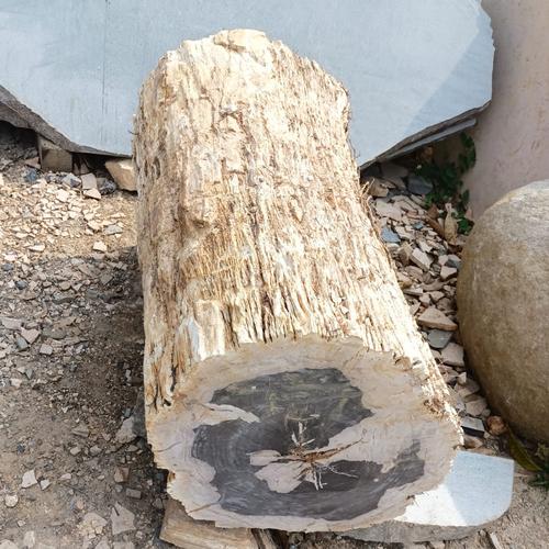 Jual Balok Batu Fosil Kayu Natural - Kab. Tulungagung - Zalfa Gallery ...