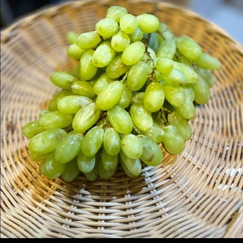 Jual Anggur Import India - 500 gram - Jakarta Barat - FruitXpress ...