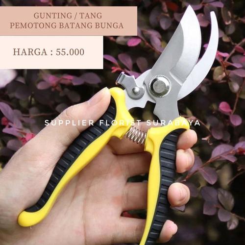 Jual TERPOPULER TANG GUNTING DAHAN POHON BATANG BUNGA ASLI PERLENGKAPAN ...
