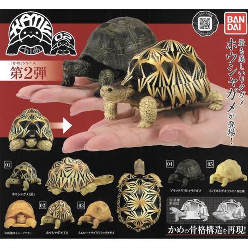 Jual Gashapon kame 02 turtle kura - gachapon gacha tortoise figure ...