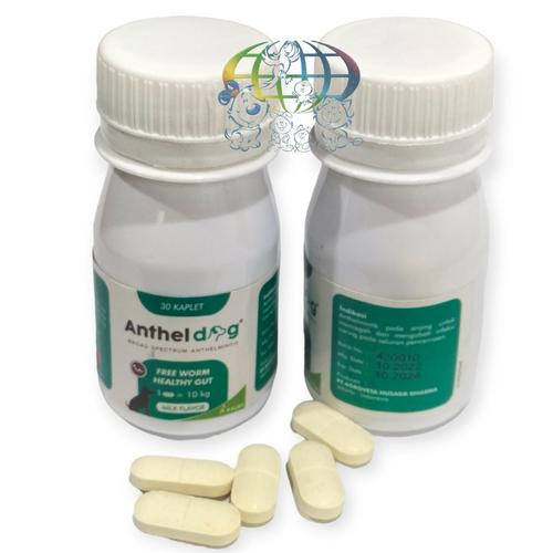 Jual Anthel Dog Kalbe Farma Obat Cacing Anjing per 10 kg 1 Tablet - 1 ...