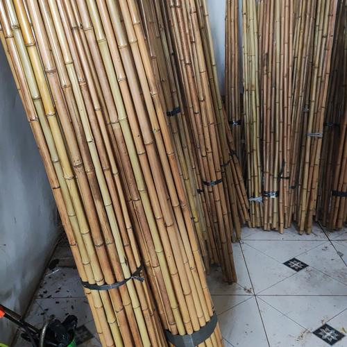Jual Bambu Cendani stick - Kab. Karawang - Bambu Bin Awi | Tokopedia