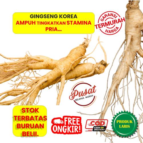 Jual Gingseng merah Korea Gingseng merah korea asli Gingseng Merah ...