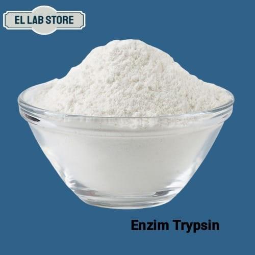 Jual Enzim Tripsin Kemasan 25 Gram / Enzyme Trypsin Kemasan 25 Gram ...