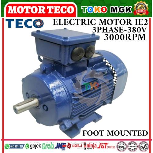 Jual AESV2S IE2 3.7KW 5HP 3PHASE 2P 3000RPM B3 112M-2 TECO MOTOR - Jakarta Pusat - toko MGK ...
