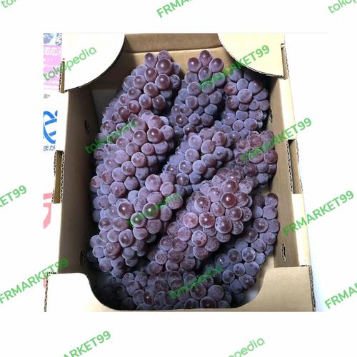 Jual Anggur Delaware Original Jepang | Buah Anggur Delaware | box ...