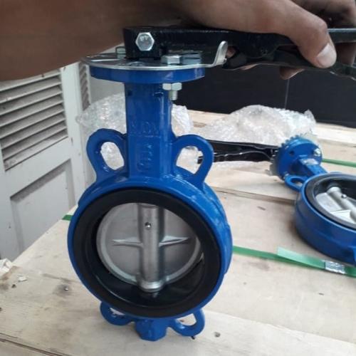 Jual Butterfly valve 4 inch Dn 100 besi cast iron disc ss 304 - Jakarta ...