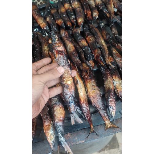 Jual ikan roa / ikan roa asap / ikan roa utuh 1 gepe / roa asap - ECER ...