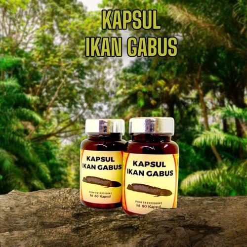 Promo Kapsul Ektrak Ikan Gabus Kutuk Albumin Asli Syifacare 60 Kapsul ...