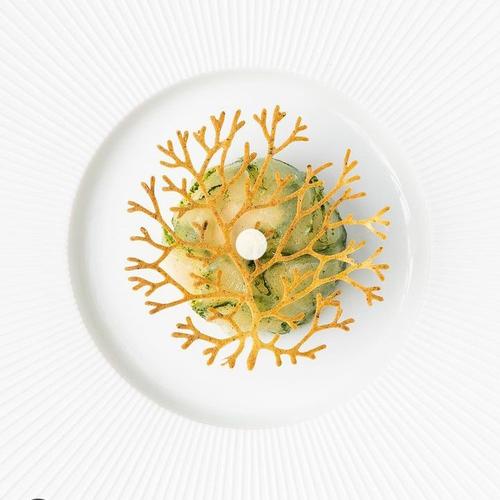 Jual LST07 Cetakan Silikon Tuile Ranting Bulat Coklat Cake Puding ...