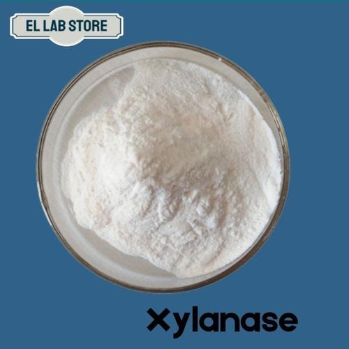 Jual Xylanase Enzim Powder 50 Gram - Kab. Bogor - El Lab Store | Tokopedia