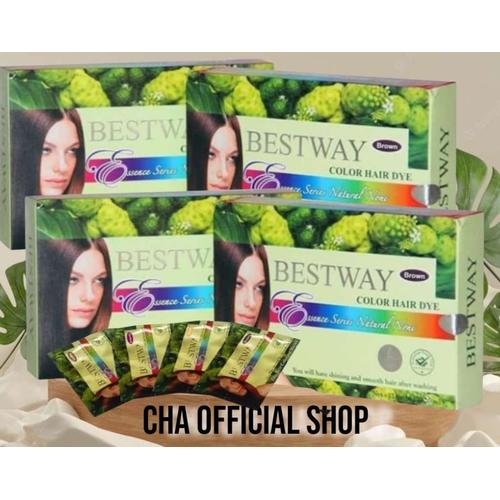 Jual (DISTRIBUTOR) BESTWAY COLOR HAIR DYE NONI Cat Rambut Shampoo ...