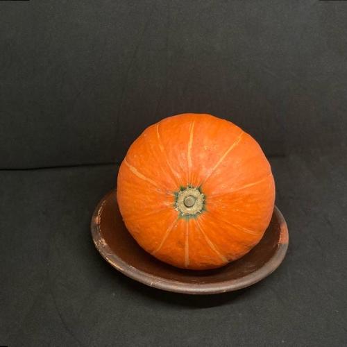 Jual Kabocha jepang segar, labu kabocha jepang, kabocha kuning - Kota ...