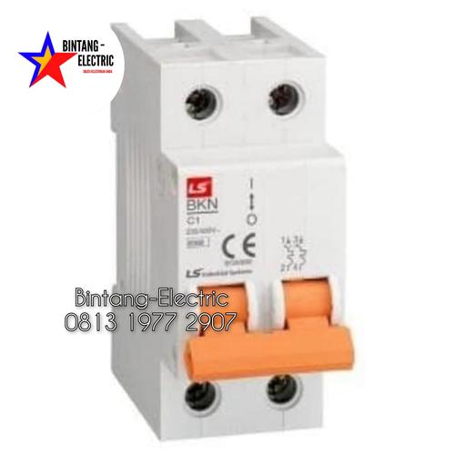 Jual MCB 40A - 63A 2P / 2 Phase BKN Series 6Ka merk LS Electric Korea - Jakarta Pusat ...