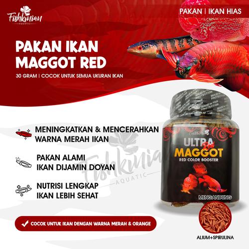 Promo ULTRA RED MAGGOT KERING PAKAN IKAN HIAS PREDATOR CHANNA LOUHAN ...