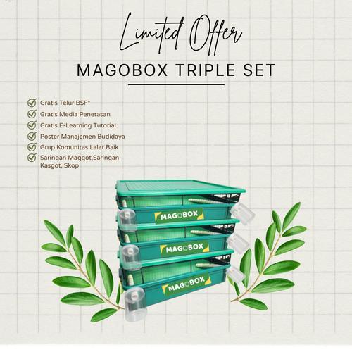 Promo Magobox Triple Set Paket Budidaya Magot Skala Rumah FREE ...